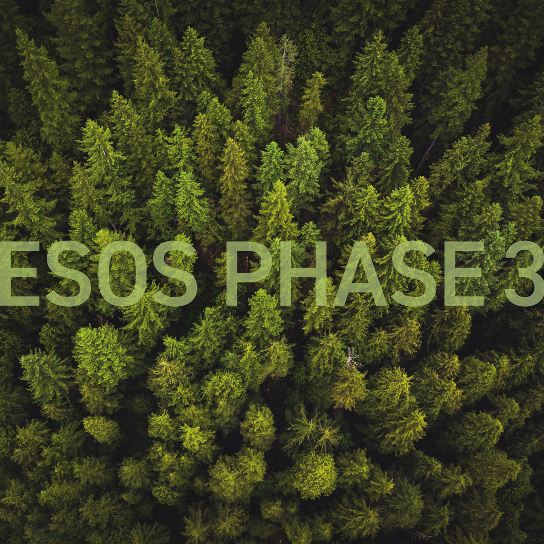 Navigating ESOS phase 3: key changes and deadlines - Consultiv Utilities