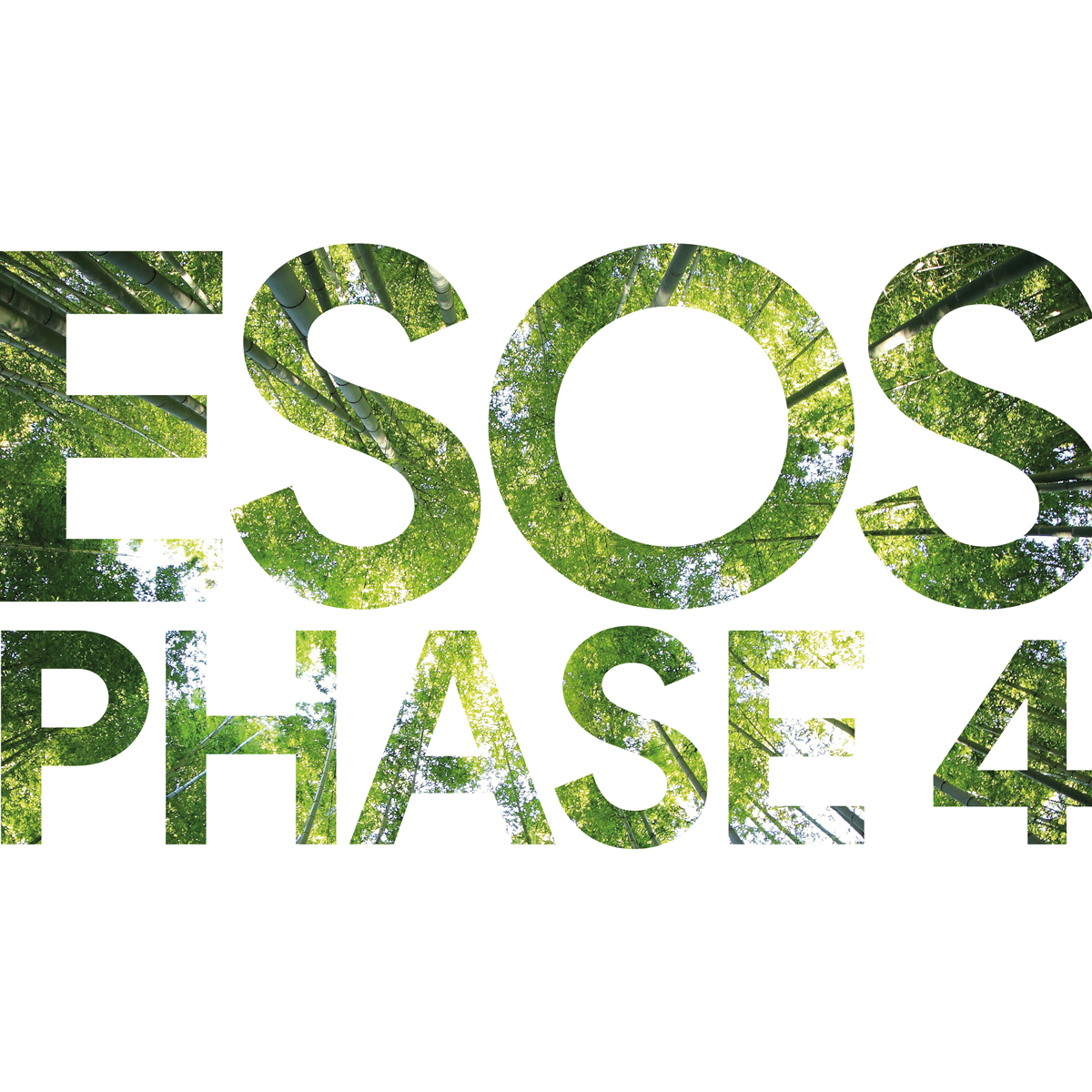 ESOS Phase 4 - What you need to know - Consultiv Utilities