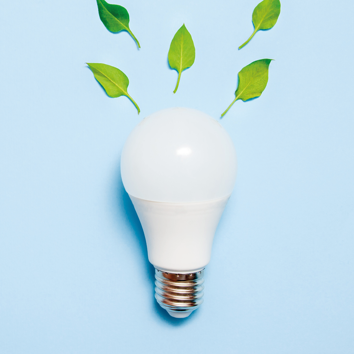 Energy Efficiency in the Workplace can Improve Morale - Consultiv Utilities