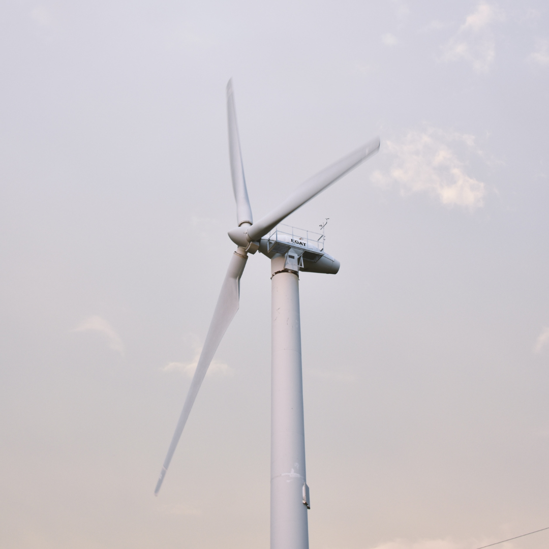 Paving The Way For Carbon Neutrality In Businesses Consultiv Utilities